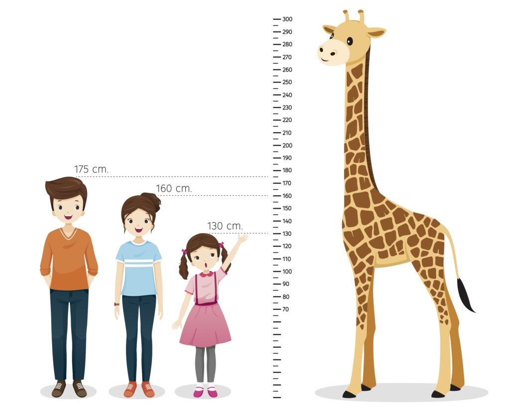 How To Help Your Child Grow Taller – Actif USA